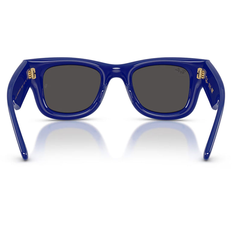 Ray-Ban – Ottica Riccio